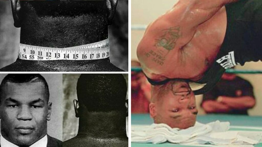 Mike Tyson Neck Exercise: The Secret To A 20-Inch Neck. » Sturdy Lifestyle