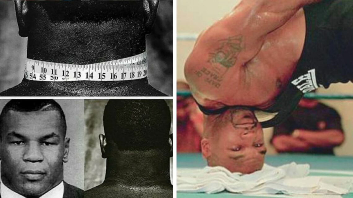 Mike Tyson Neck Exercise: The Secret To A 20-Inch Neck. » Sturdy Lifestyle